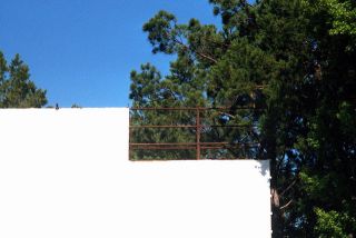 The Apache Drive-In, Tyler, TX