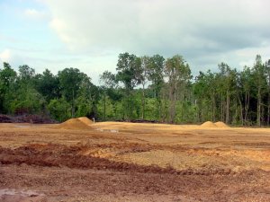 The Blue Moon Drive-In Theater, 4690 Hwy. 78 West, Gu-Win, Alabama